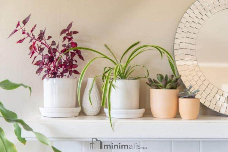 Model Tempat Bunga Minimalis