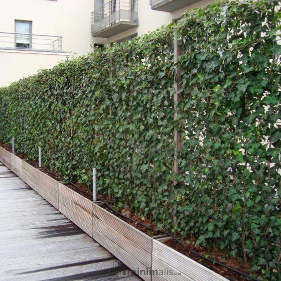 Cara Memasang Hiasan Pagar Besi Minimalis Tanpa Boros - Minimalist