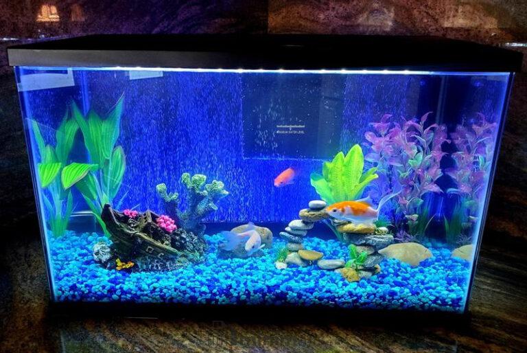 4 Ide Konsep Aquarium Minimalis Dalam Ruangan Penghilang Stres