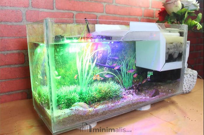 Bentuk Aquarium Minimalis, Lain Ukuran Lain Lagi Cara Merawatnya ...