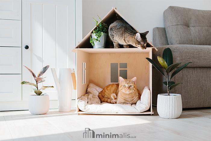 4 Tips Membuat Kamar Kucing Minimalis Menjadi Lebih Interaktif