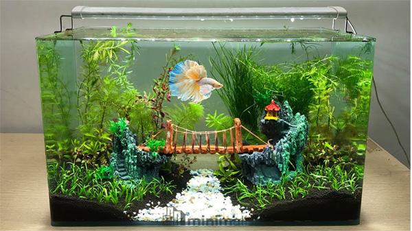 4 Model Aquarium Minimalis Terbaru Penghias Ruangan dan Kamar - Minimalist