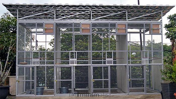 Ukuran Kandang Ternak Murai Minimalis yang Ideal Untuk Bisnis