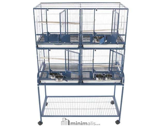 Ukuran Kandang Ternak Perkutut Minimalis dan Cara Pengembangbiakannya