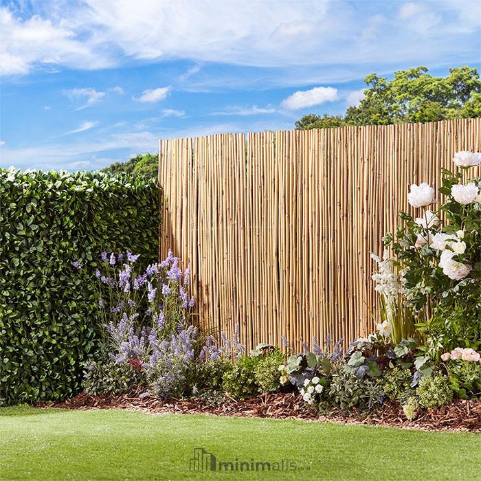 Cantiknya Pagar Bunga Minimalis Pujaan Para Tetangga