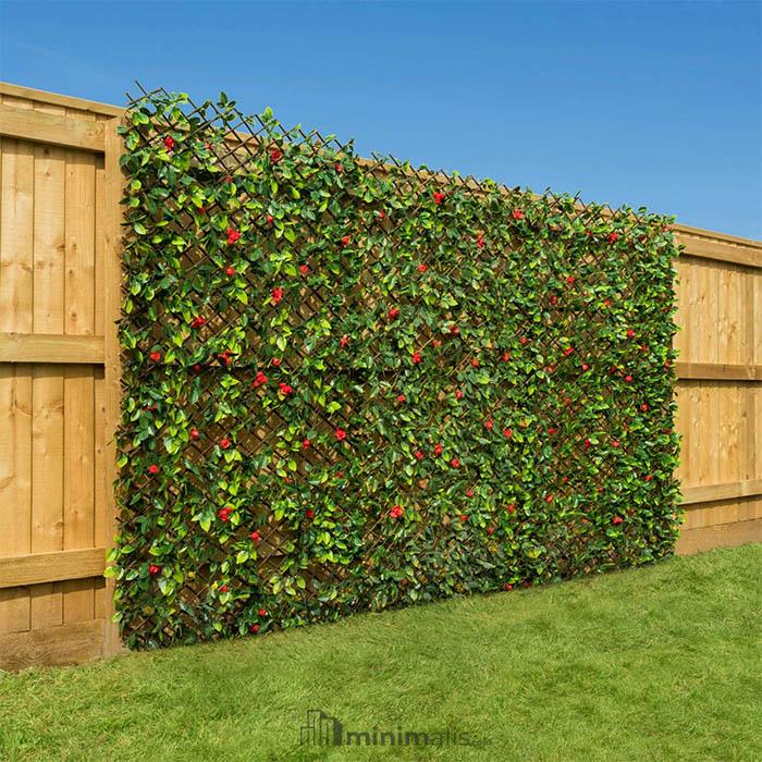 Cantiknya Pagar Bunga Minimalis Pujaan Para Tetangga