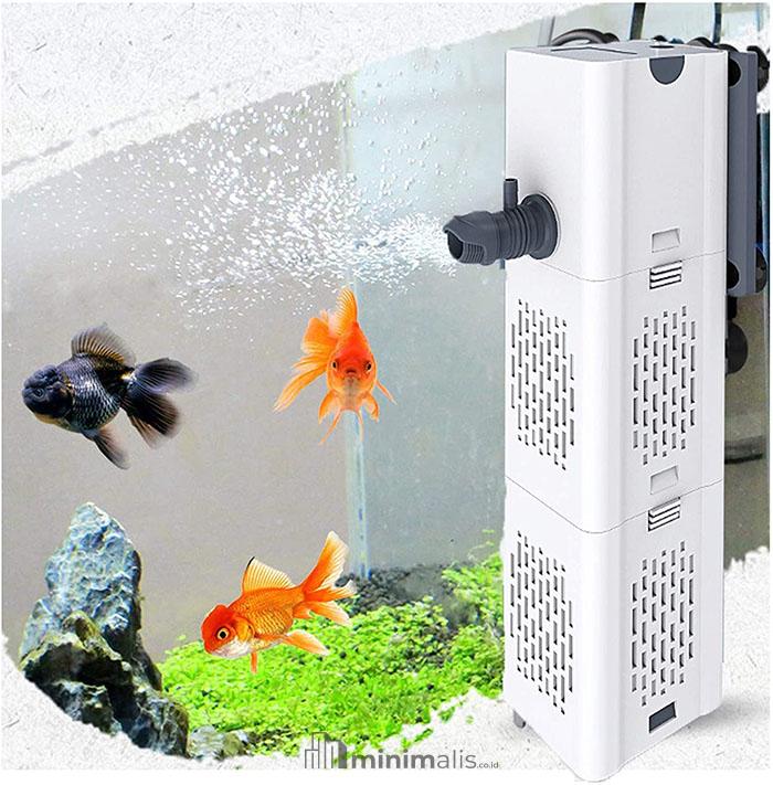 43+ Aquarium Minimalis Penuh Warna dan Keindahan