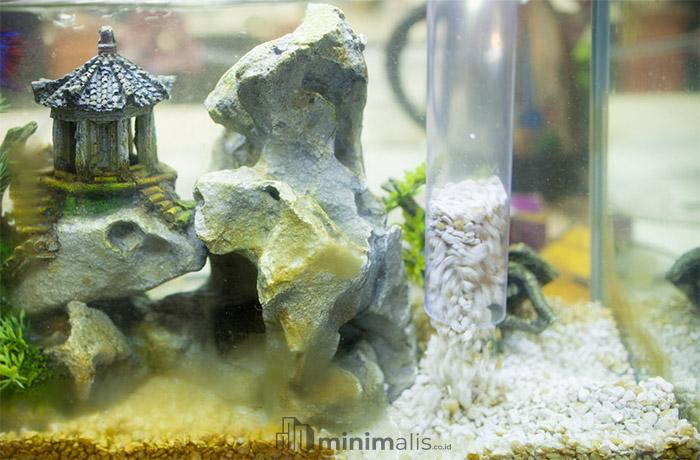 43+ Aquarium Minimalis Penuh Warna dan Keindahan - Minimalist