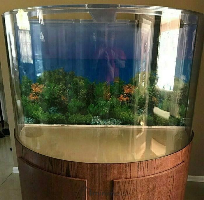 43+ Aquarium Minimalis Penuh Warna dan Keindahan