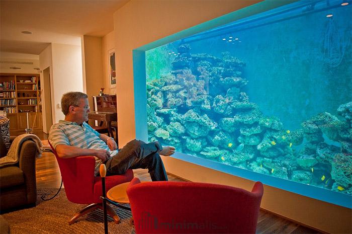 43+ Aquarium Minimalis Penuh Warna dan Keindahan - Minimalist