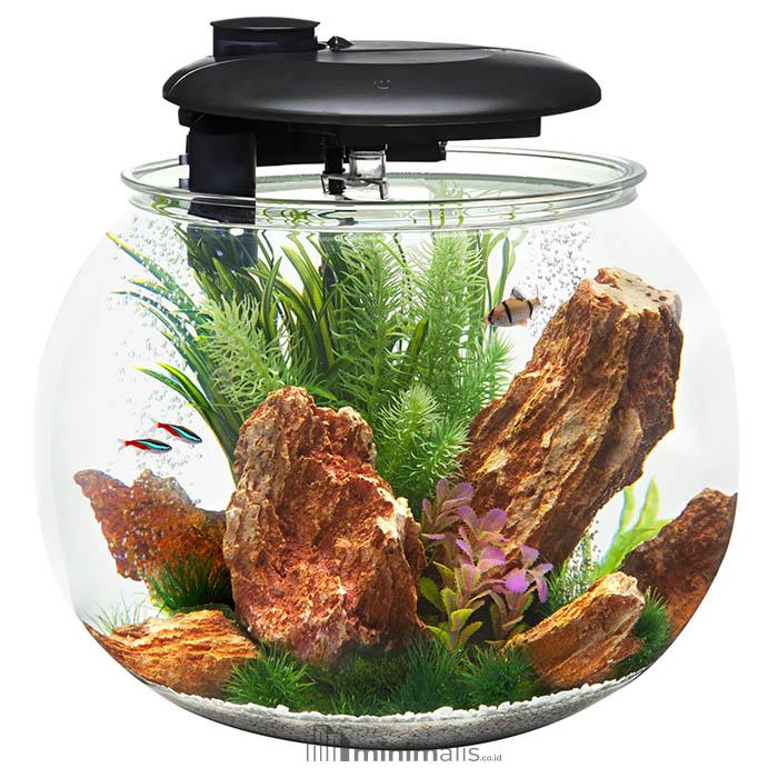 43+ Aquarium Minimalis Penuh Warna dan Keindahan