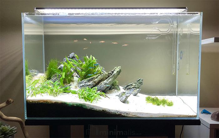 43+ Aquarium Minimalis Penuh Warna dan Keindahan - Minimalist