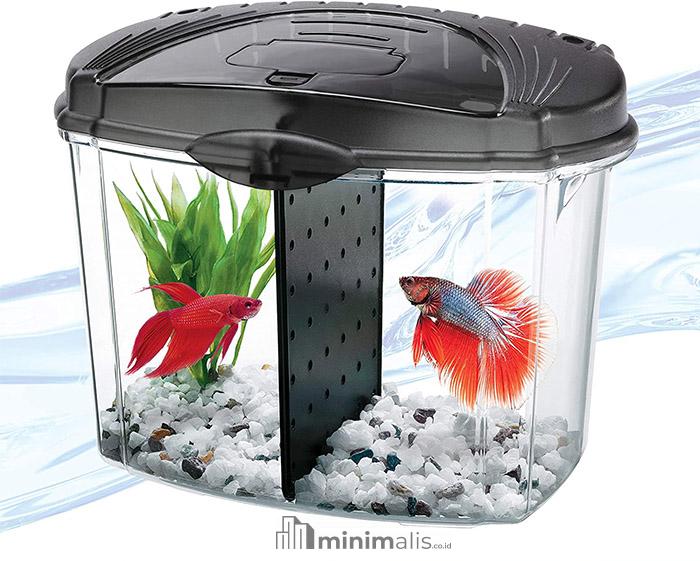 43+ Aquarium Minimalis Penuh Warna dan Keindahan - Minimalist