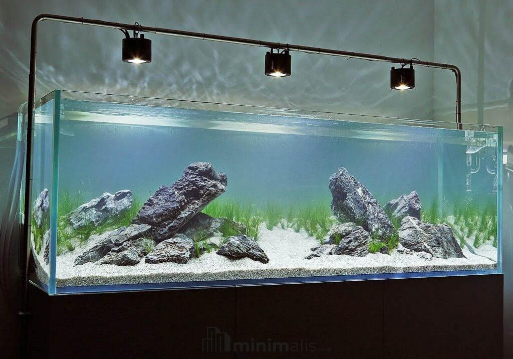 43+ Aquarium Minimalis Penuh Warna dan Keindahan