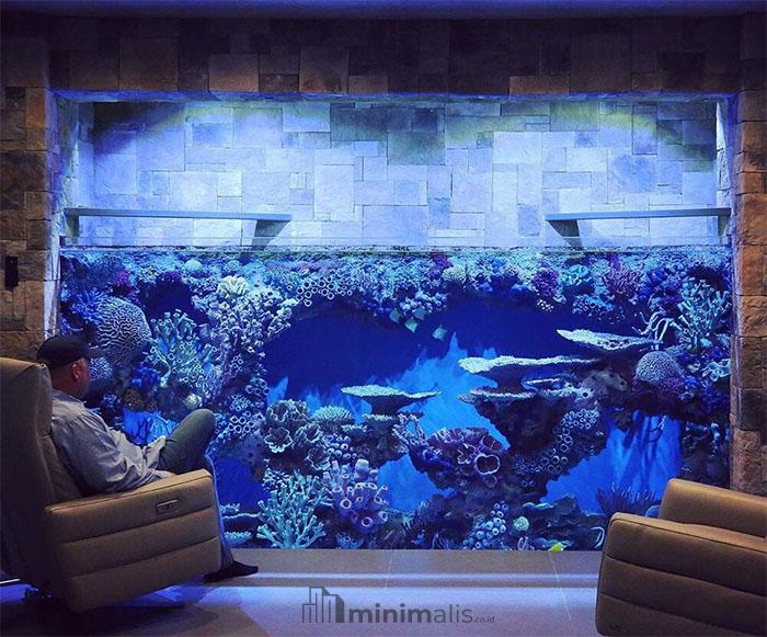 43+ Aquarium Minimalis Penuh Warna dan Keindahan - Minimalist