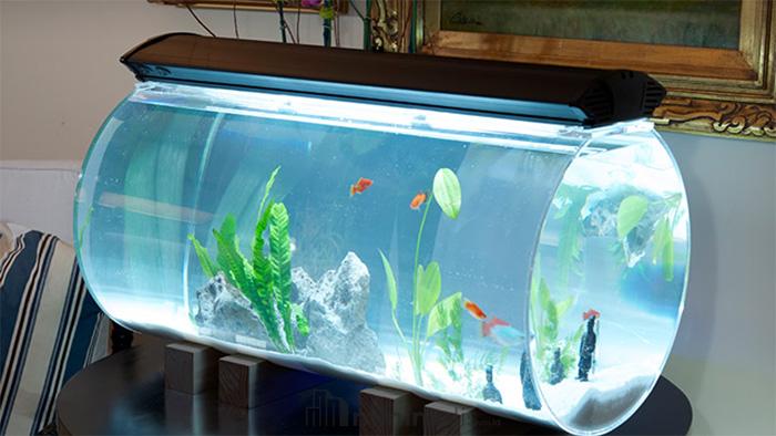 43+ Aquarium Minimalis Penuh Warna dan Keindahan - Minimalist
