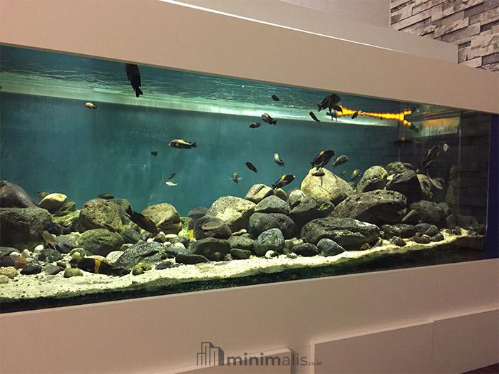 43+ Aquarium Minimalis Penuh Warna dan Keindahan