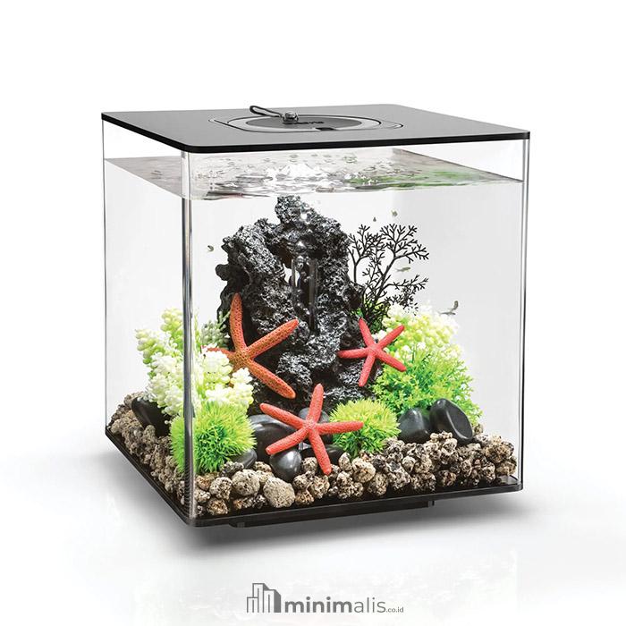 43+ Aquarium Minimalis Penuh Warna dan Keindahan