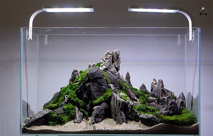43+ Aquarium Minimalis Penuh Warna dan Keindahan - Minimalist