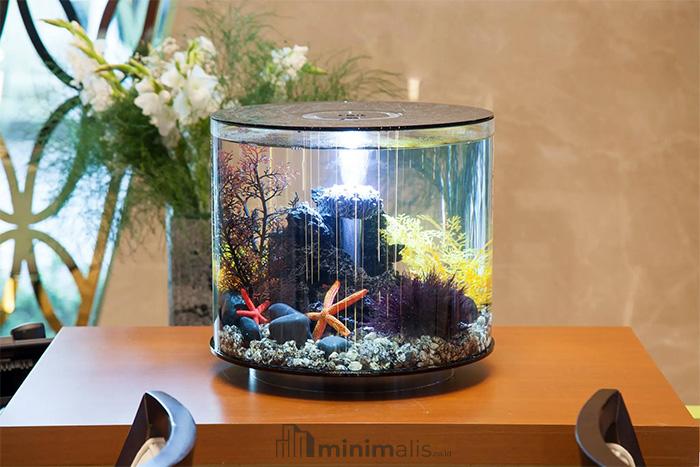 43+ Aquarium Minimalis Penuh Warna dan Keindahan