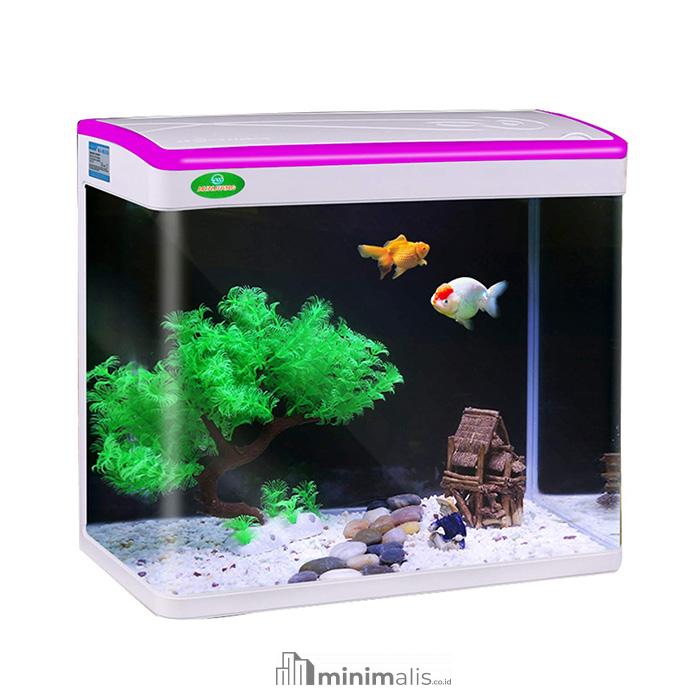 43+ Aquarium Minimalis Penuh Warna dan Keindahan