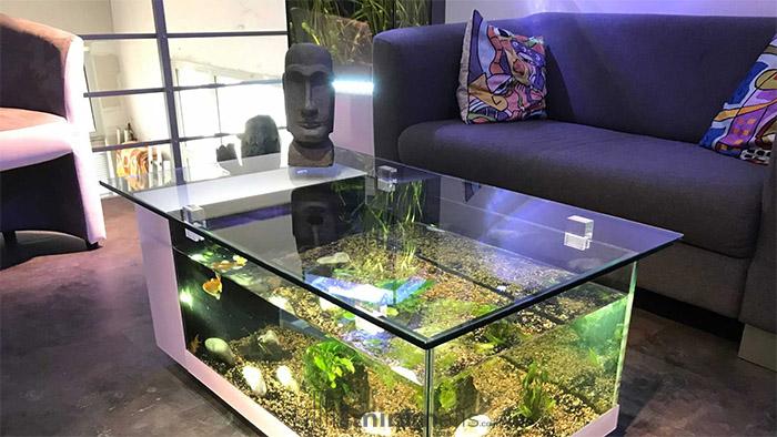 43+ Aquarium Minimalis Penuh Warna dan Keindahan - Minimalist