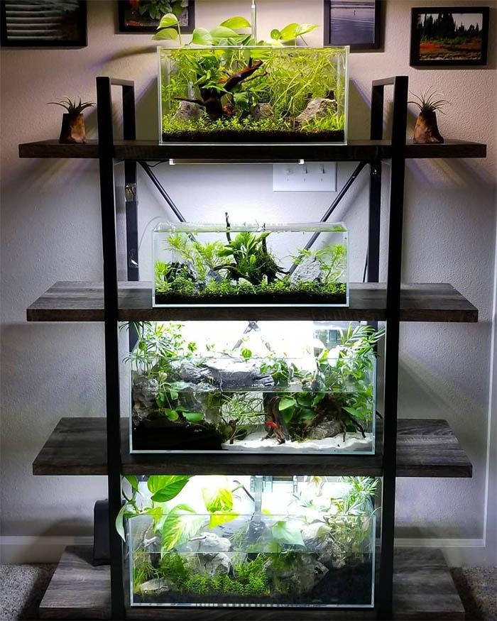 43+ Aquarium Minimalis Penuh Warna dan Keindahan - Minimalist