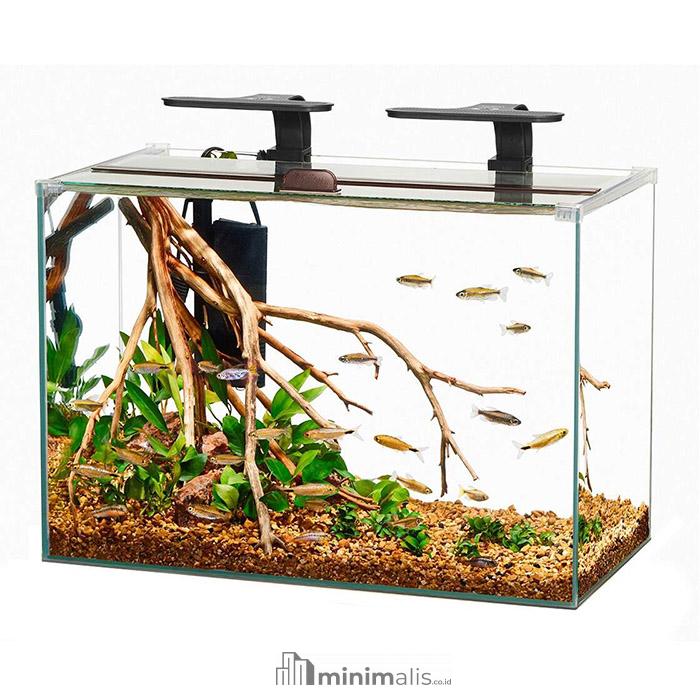 43+ Aquarium Minimalis Penuh Warna dan Keindahan - Minimalist