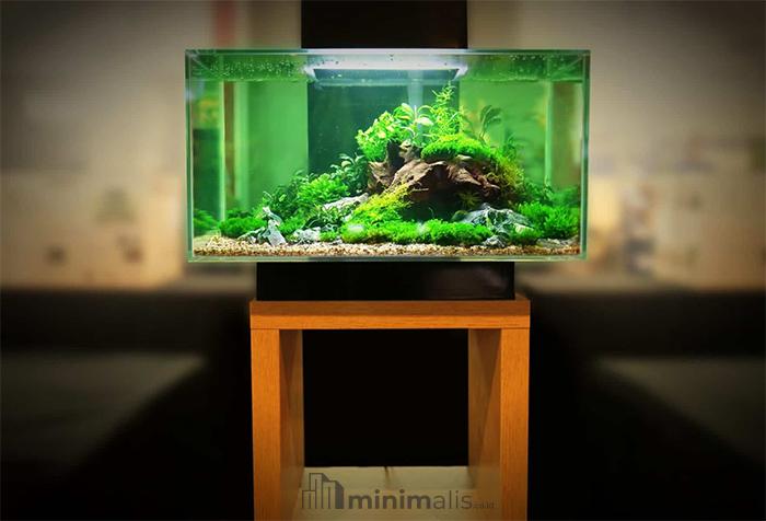 39+ Meja Aquarium Minimalis Dari Material yang Cantik Tahan Lama