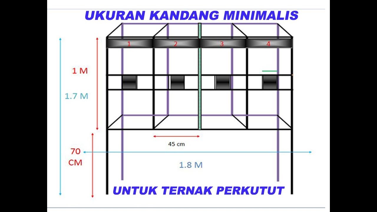 Ukuran Kandang Ternak Perkutut Minimalis dan Cara Pengembangbiakannya ...